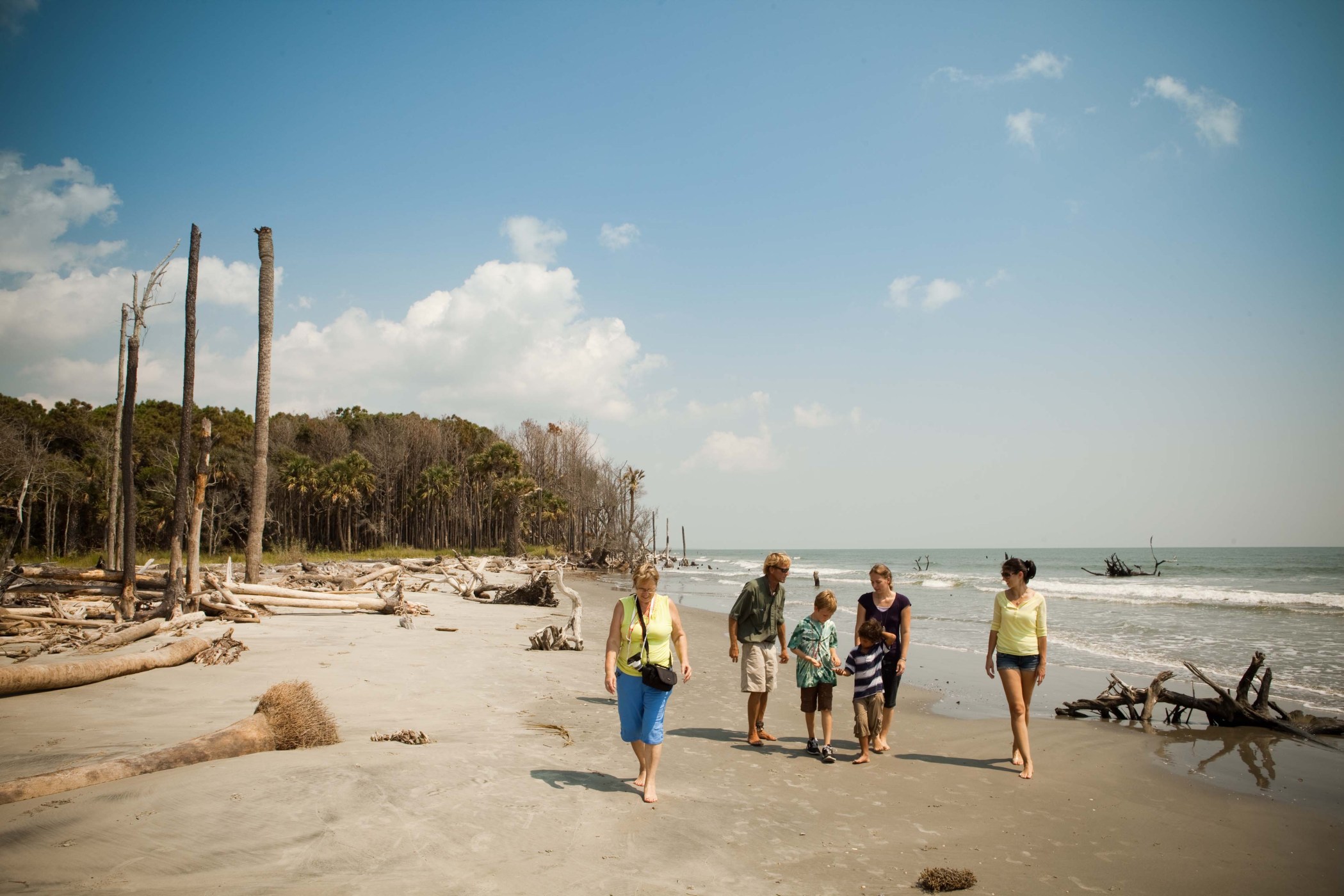 Capers Island, SC Wildlife Exploration | Barrier Island Eco Tours
