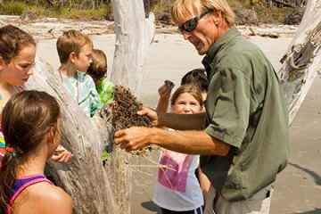 Capers Island, SC Wildlife Exploration | Barrier Island Eco Tours
